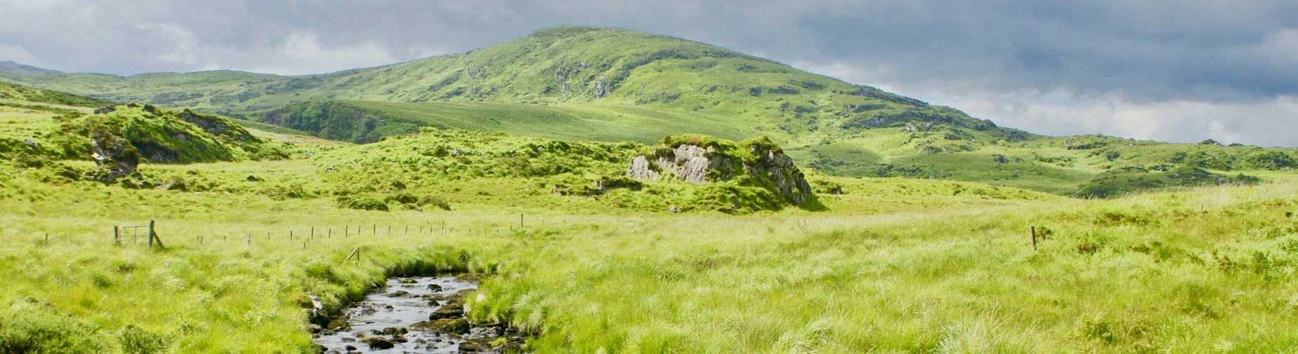 Visiting a Legendary Green Resort and Spa in Ireland | Laurel Kallenbach