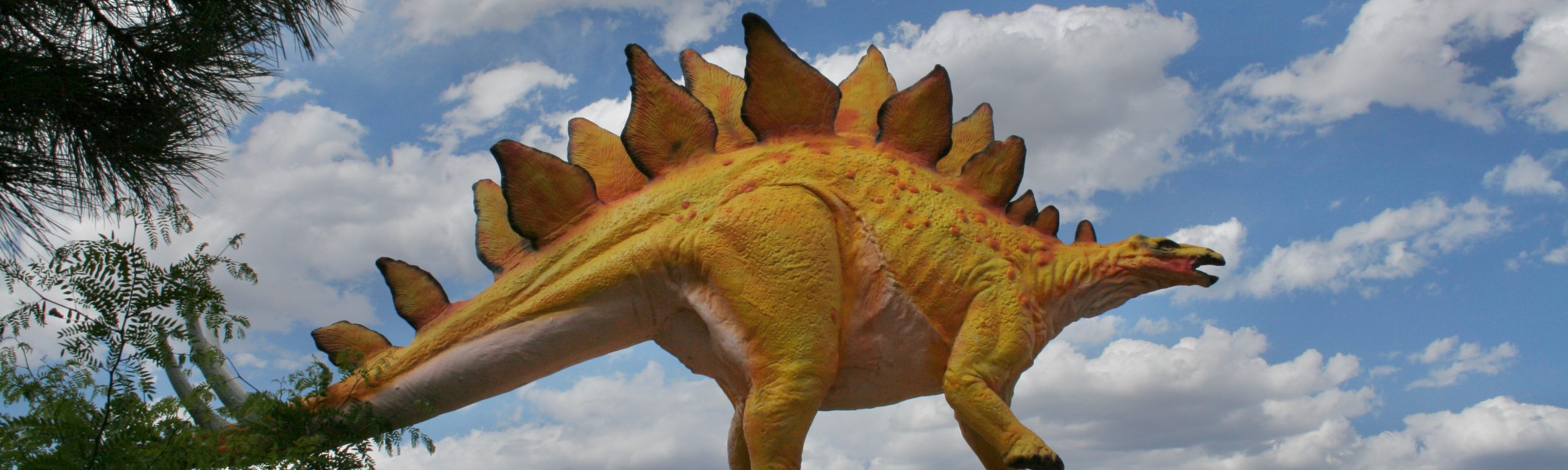 Dino Dig in Colorado: Be a Paleontologist for a Day | Laurel Kallenbach