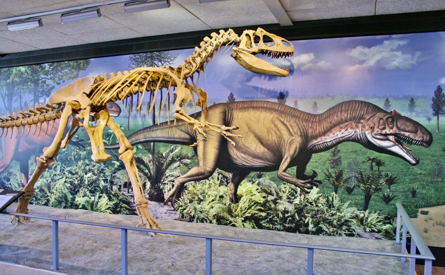 Fossils Come Alive at Dinosaur National Monument | Laurel Kallenbach