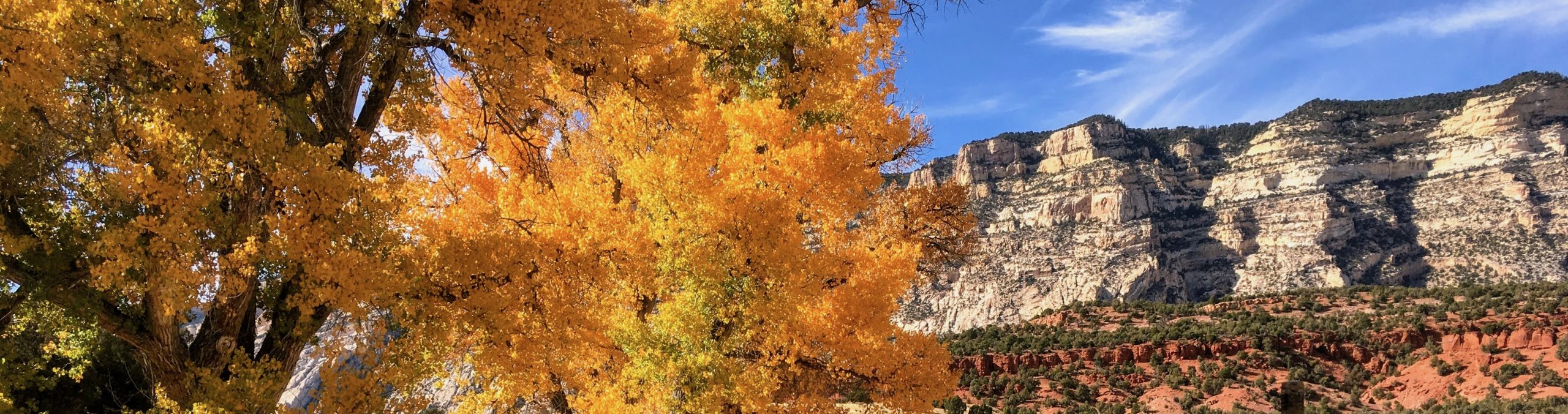 Fossils Come Alive at Dinosaur National Monument | Laurel Kallenbach