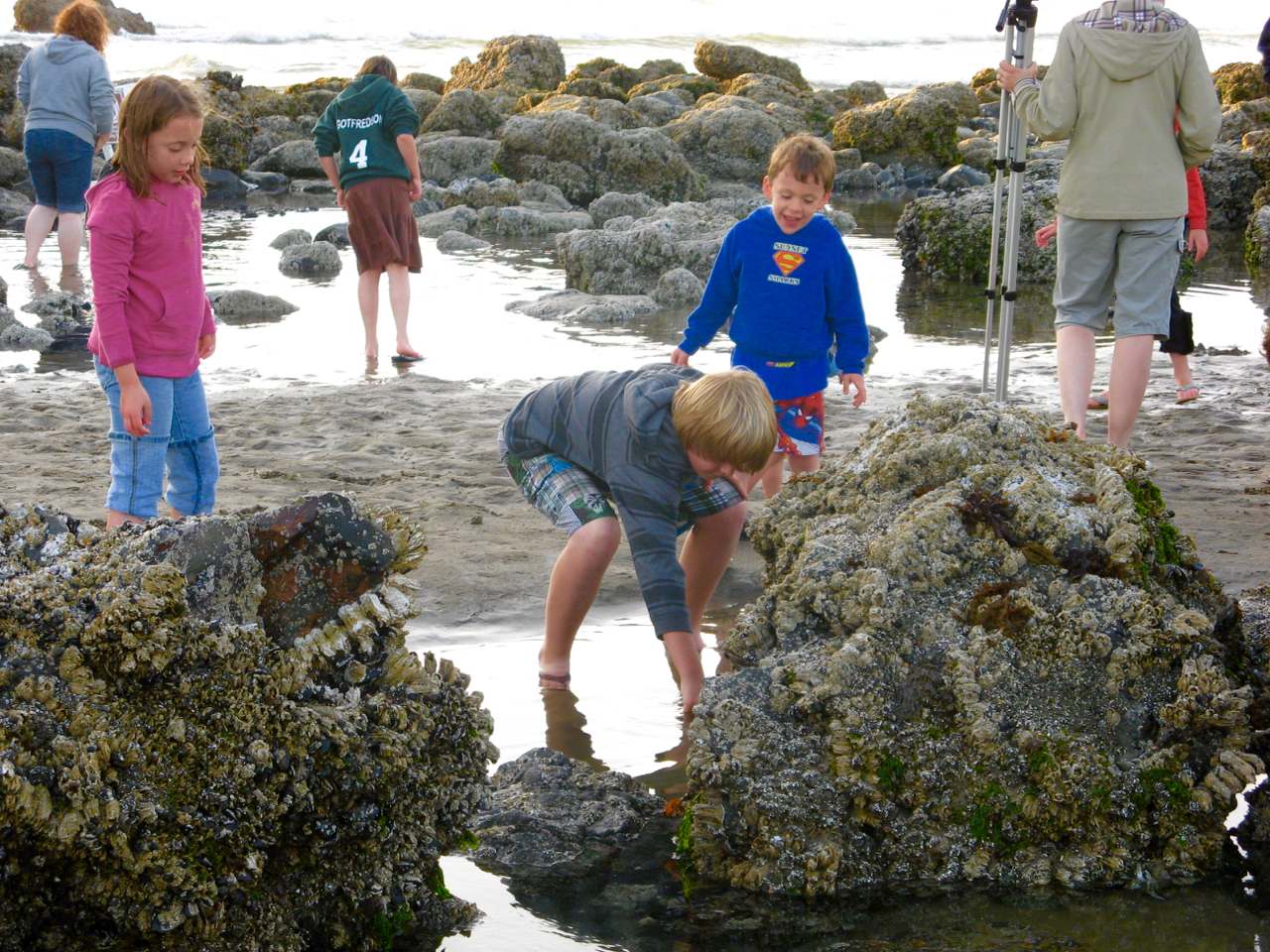 Low Tide at Cannon Beach, Oregon, Reveals an Undersea World | Laurel ...