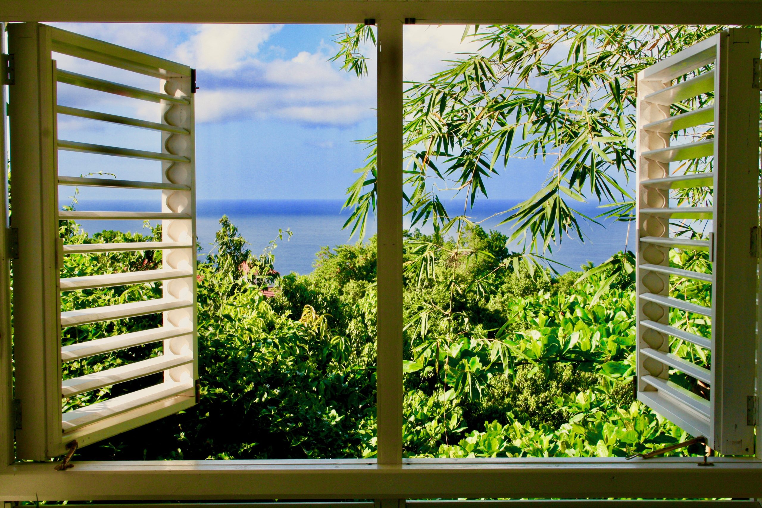 Room with a Jamaican View: Hotel Mockingbird Hill | Laurel Kallenbach