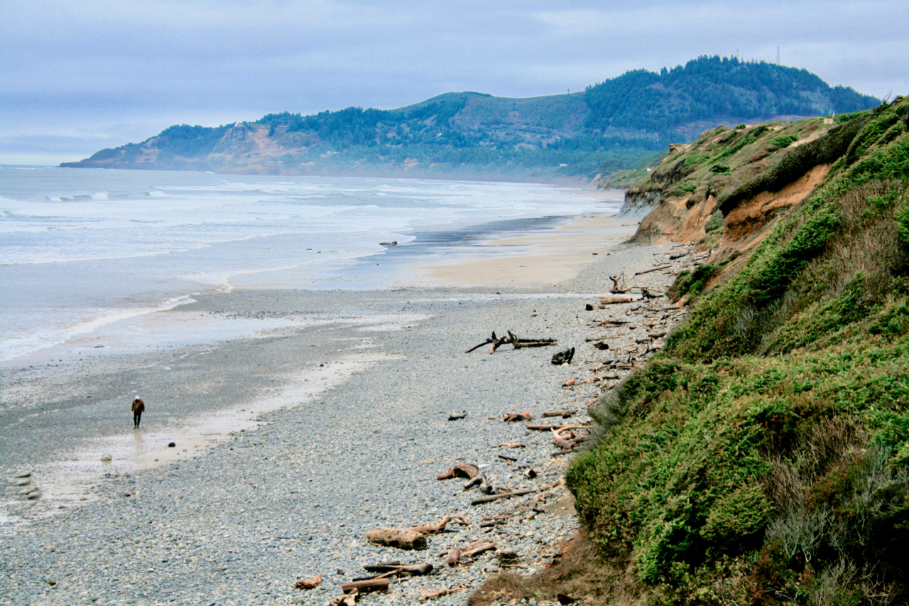 Whales and Winter Gales along the Oregon Coast | Laurel Kallenbach