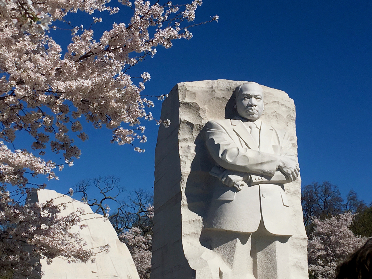 Remembering Martin Luther King, Jr., in Washington, DC | Laurel Kallenbach